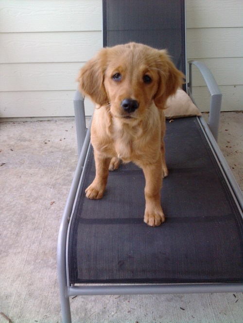 Jazzy’s Photos | Gordon A Kessler: Author of Thriller, Suspense & Mystery