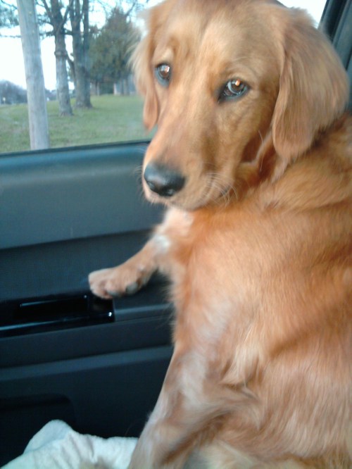 Jazzy’s Photos | Gordon A Kessler: Author of Thriller, Suspense & Mystery