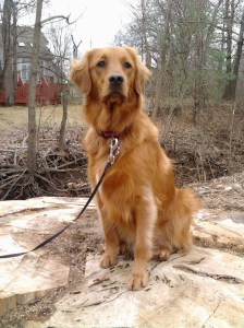 Jazzy’s Photos | Gordon A Kessler: Author of Thriller, Suspense & Mystery