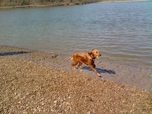 Jazzy’s Photos | Gordon A Kessler: Author of Thriller, Suspense & Mystery