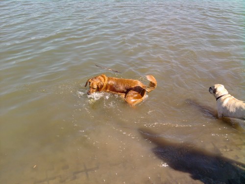 Jazzy’s Photos | Gordon A Kessler: Author of Thriller, Suspense & Mystery