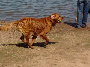 Jazzy’s Photos | Gordon A Kessler: Author of Thriller, Suspense & Mystery