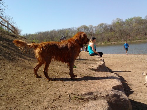 Jazzy’s Photos | Gordon A Kessler: Author of Thriller, Suspense & Mystery