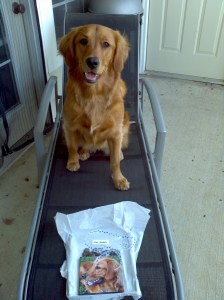 Jazzy’s Photos | Gordon A Kessler: Author of Thriller, Suspense & Mystery