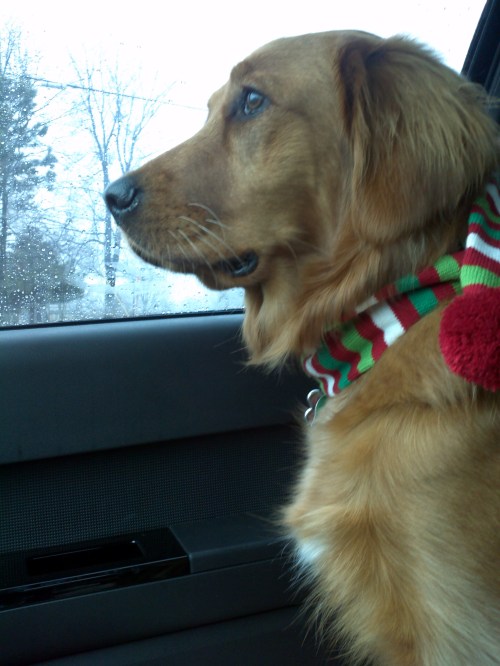 Jazzy’s Photos | Gordon A Kessler: Author of Thriller, Suspense & Mystery