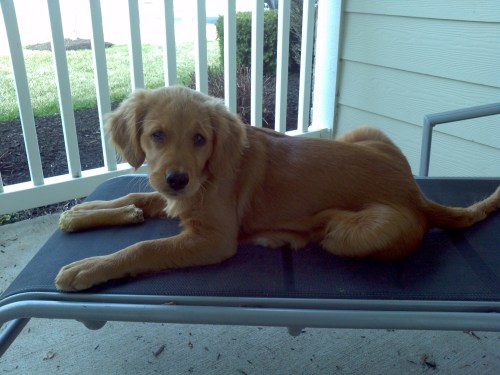 Jazzy’s Photos | Gordon A Kessler: Author of Thriller, Suspense & Mystery