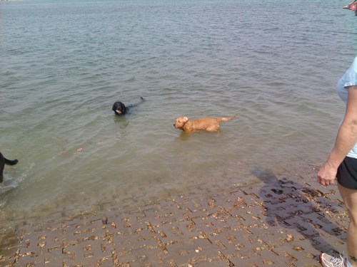 Jazzy’s Photos | Gordon A Kessler: Author of Thriller, Suspense & Mystery