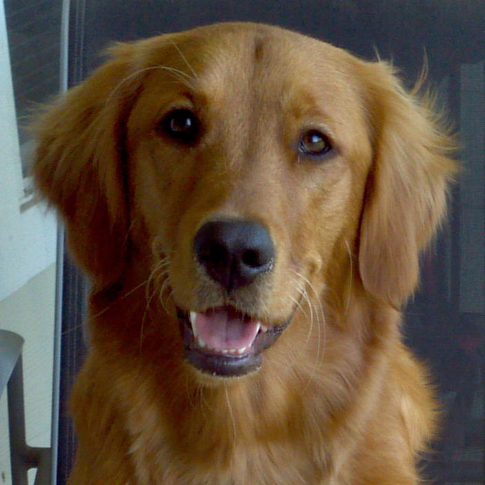 Jazzy’s Photos | Gordon A Kessler: Author of Thriller, Suspense & Mystery