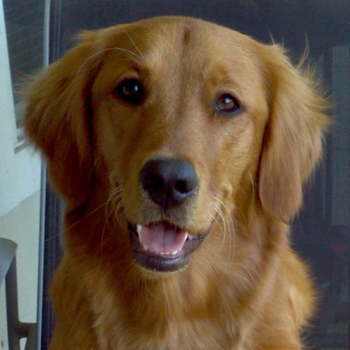 Jazzy’s Photos | Gordon A Kessler: Author of Thriller, Suspense & Mystery